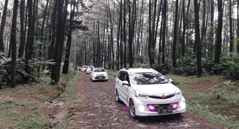 Cukup Naik Mobil, Ini 5 Tempat Piknik di Jakarta | Auto2000